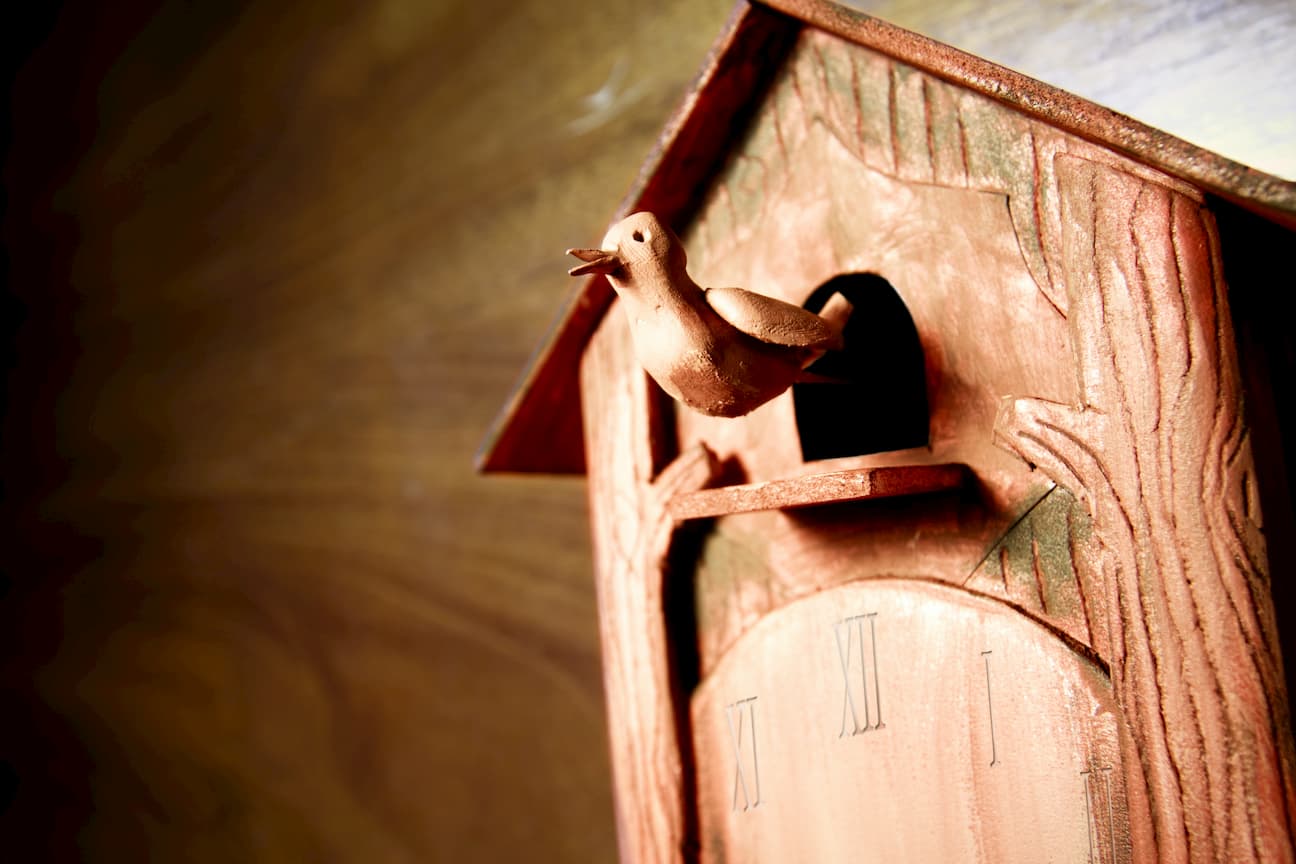 La canzone del cuculo - Bambini Patapum!